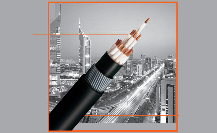 Ducab Low Voltage Control and Auxiliary Cables (Dubai Cable Company ...