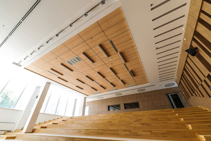 THERMATEX Varioline (Knauf Ceiling Solutions)