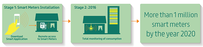DEWA supports the ‘Smart City’ initiative with smart meters and grids